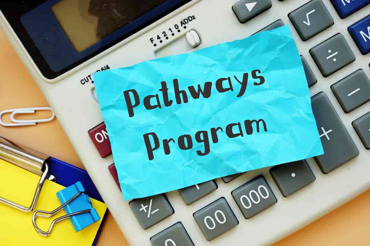 How Does An Undergraduate Pathway Program Work? | Bright Classroom Ideas